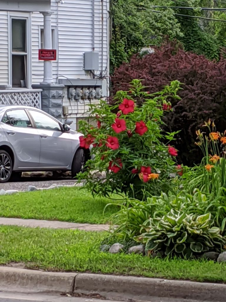 86 Tracey Meares and Arthur Rizer - Decarceration Nation